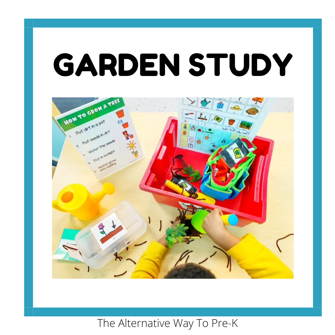 Bringing the Garden to Life in a Special Education Preschool Classroom ...